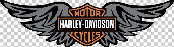 Missions HARLEY DAVIDSON WINGS Patch – LocoSonix